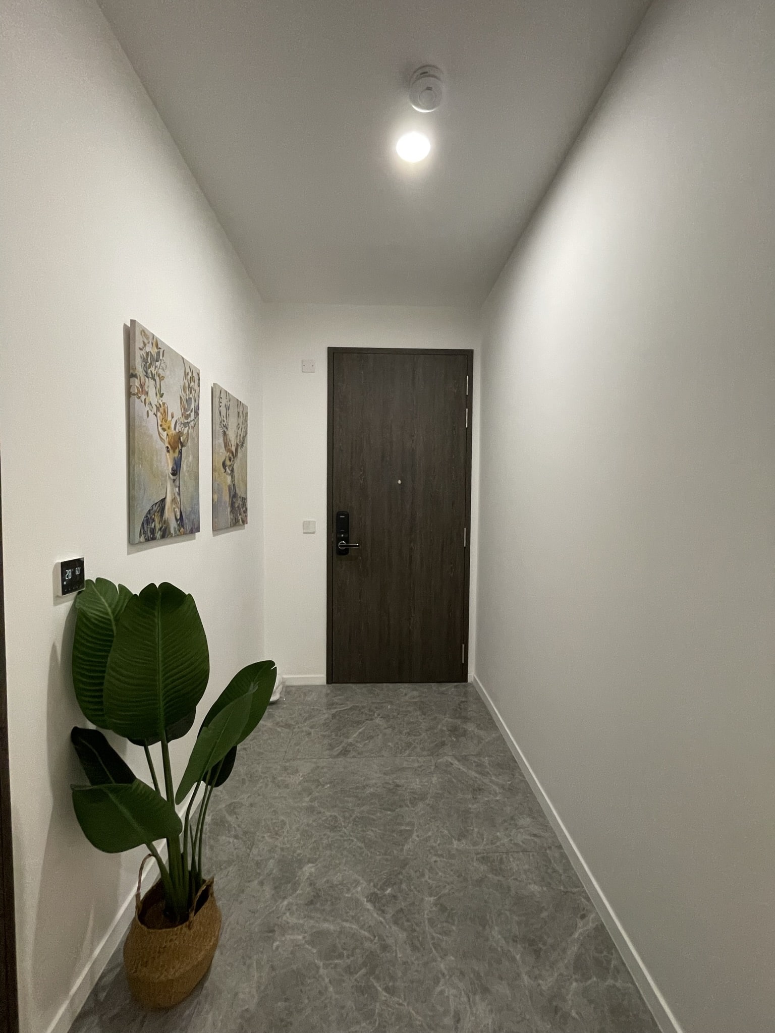 The M - PropertyLimBrothers