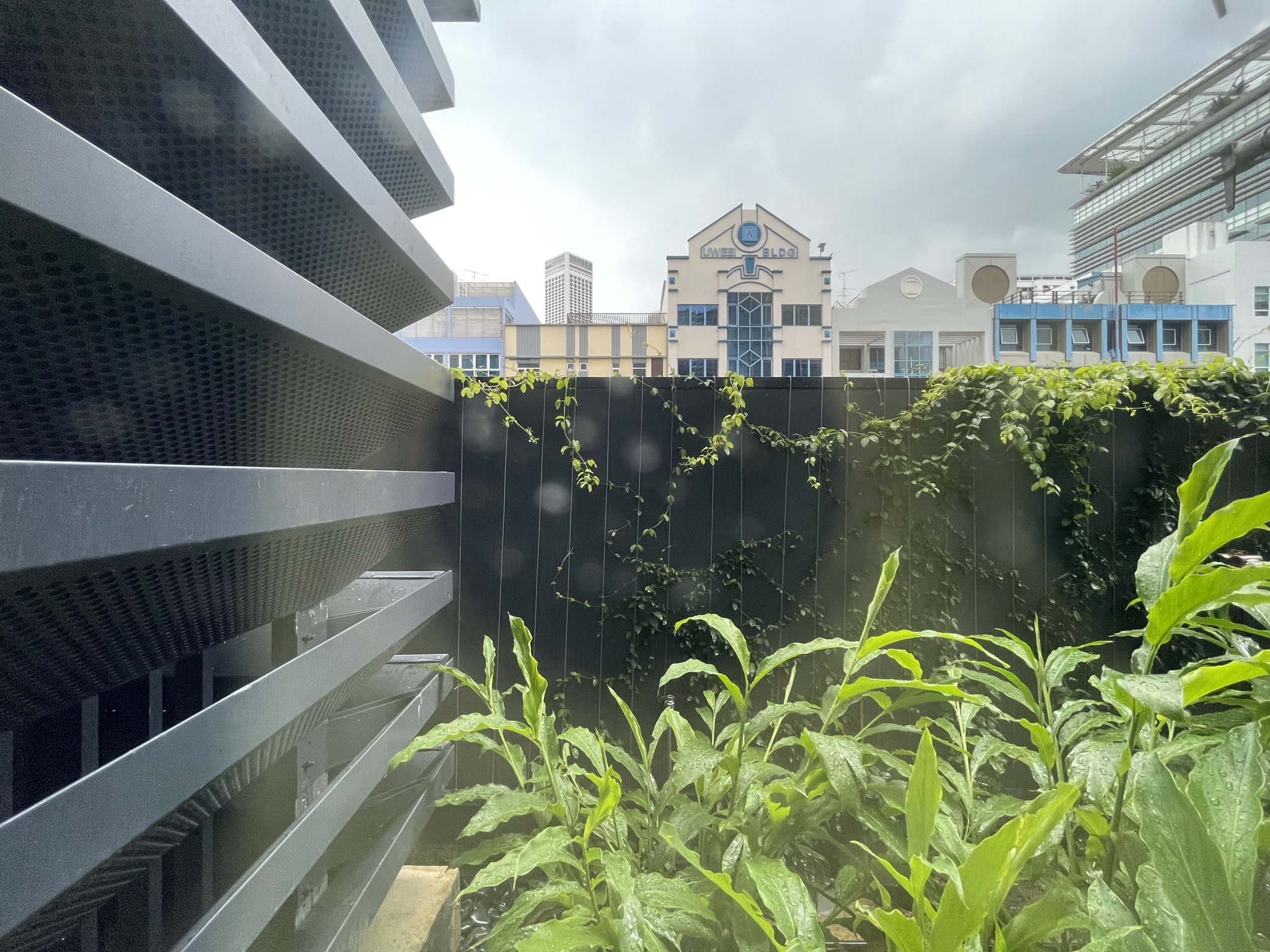 The M - PropertyLimBrothers