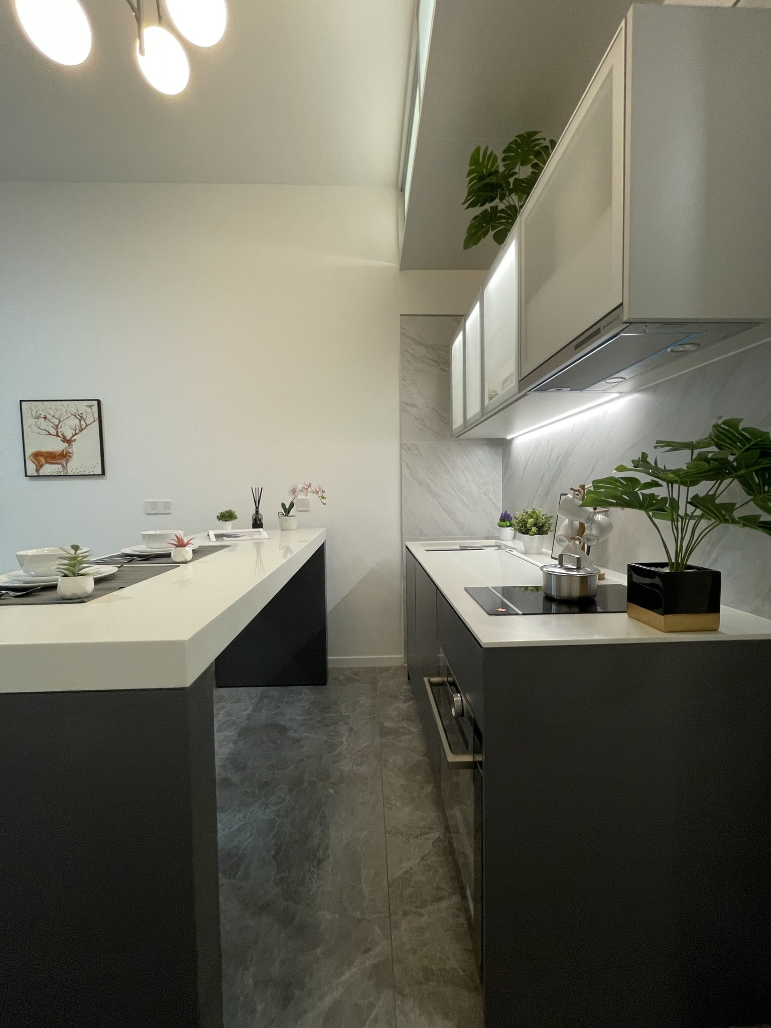 The M - PropertyLimBrothers