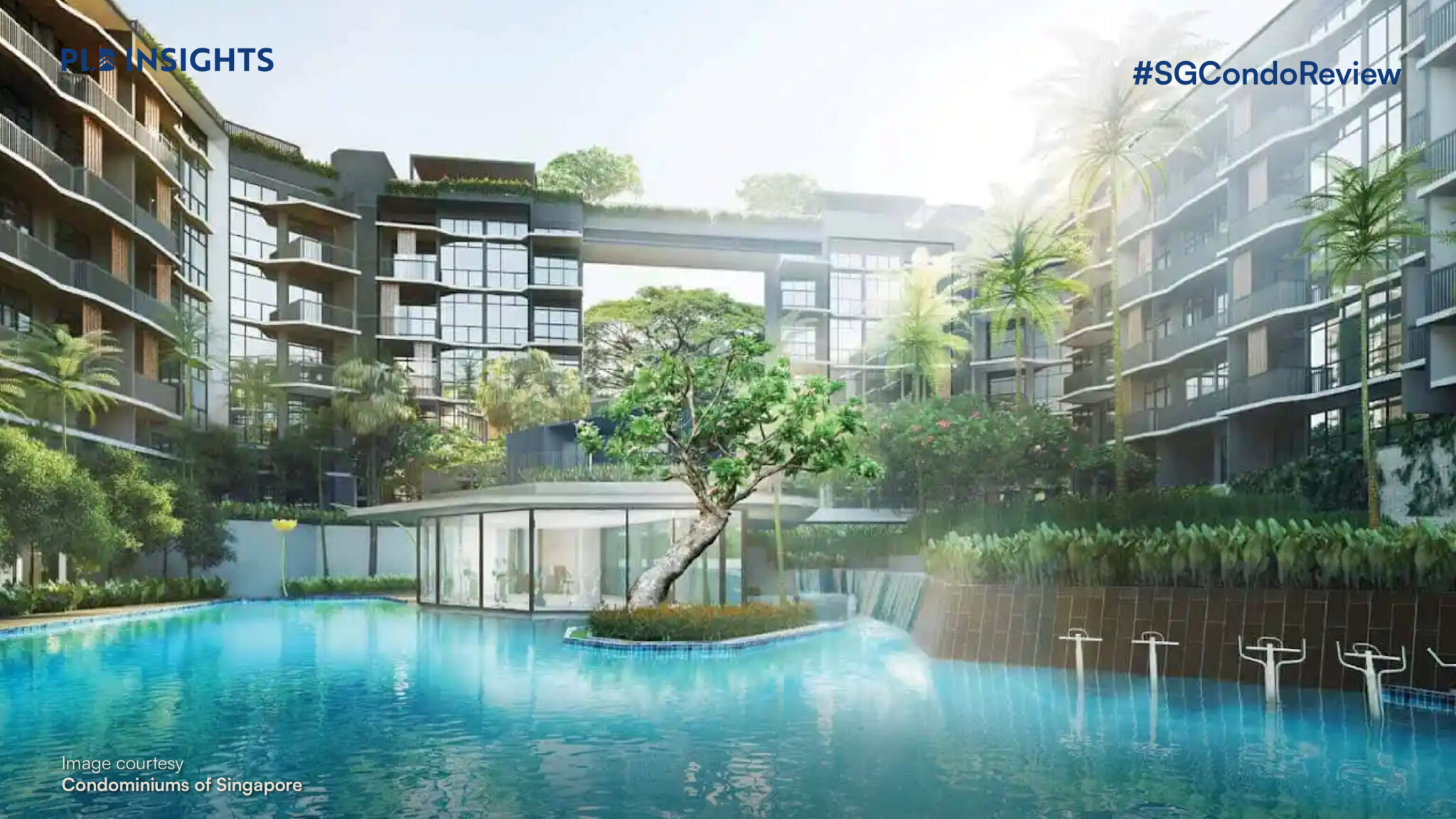 Daintree Residence Condo Review: A Newly TOP-ed Private Oasis Within Walking Distance To Beauty ...